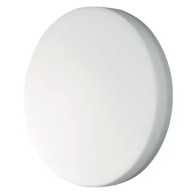 LED-Wand- und Deckenleuchte IP65 | eltric Online Shop