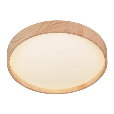 LED-Deckenleuchte | eltric Online Shop